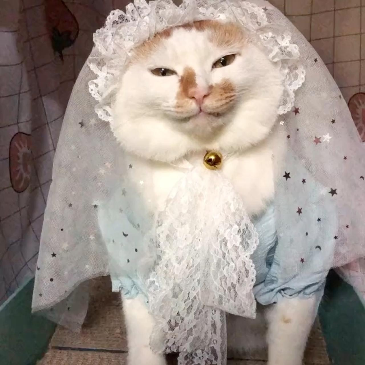 hey guys i just posted so much stuff so please check... - Depop