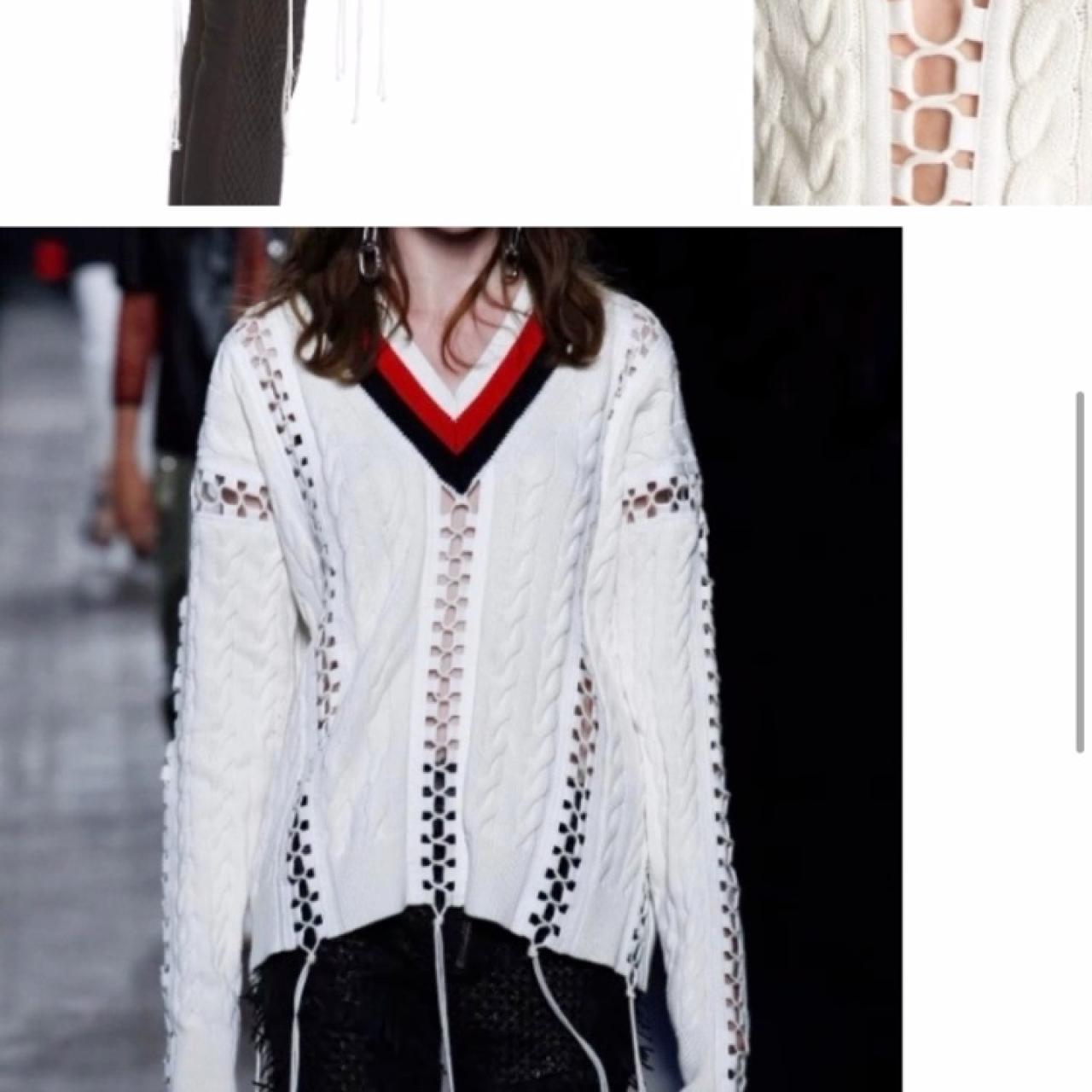 alexander wang CA 00985 v neck cricket sweater ! an... - Depop